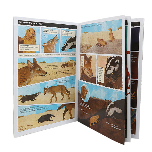 General Knowledge How To Clean Hippopotamus - Animal Partnership ...