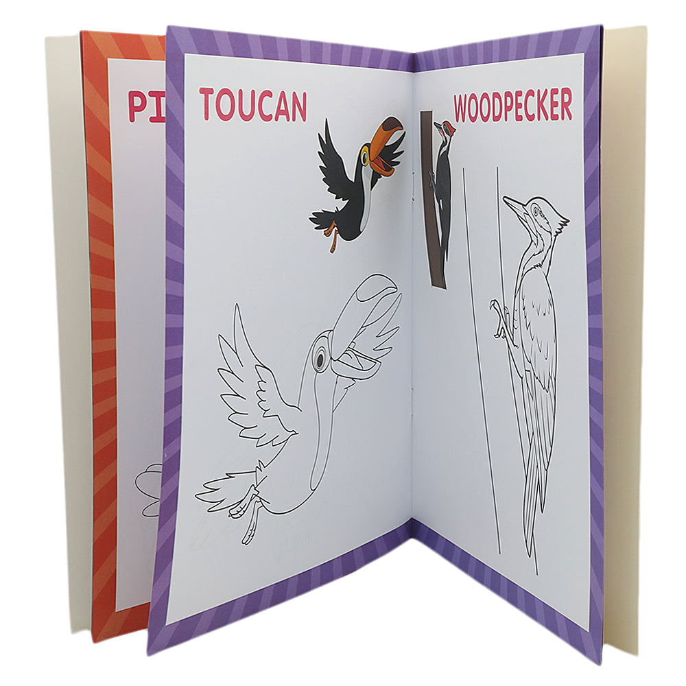 Super Copy Colouring Birds – Chase Value